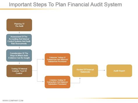 Important Steps To Plan Financial Audit System Ppt Diagrams Presentation Graphics