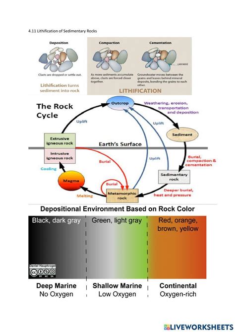 Lithification Diagram 1371218 411 Lithification Of Sedimentary