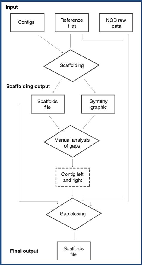 Pipeline Flowchart The Pipeline Receives As Input Contigs File