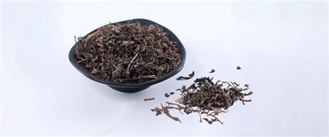 Ma Chi Xian Ma Chi Xian Herb Ma Chi Xian Tcm For Sale Native Chinese