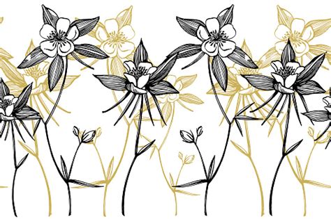 이중 콜 럼 바인 꽃 손으로 그린 꽃과 식물의 컬렉션입니다 식물학 설정 빈티지 꽃입니다 판화 스타일의 흑백 그림 완벽 한 패턴입니다 0명에 대한 스톡 벡터 아트 및 기타