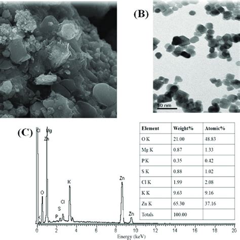 A Sem Micrograph B Tem Micrograph And C Edx Spectrograph Of M Download Scientific