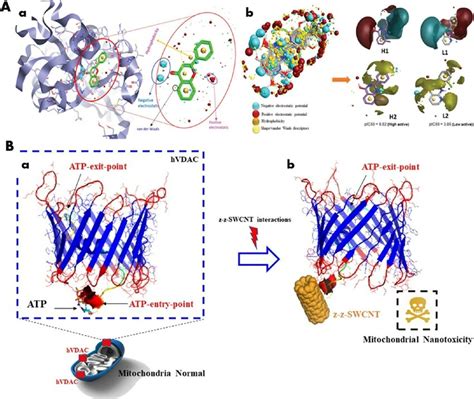 In Silico Approaches To Assess The Toxicity Of Nanomaterials A In Download Scientific