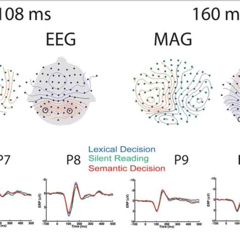 roi analysis in eeg meg source space task effects on word activation
