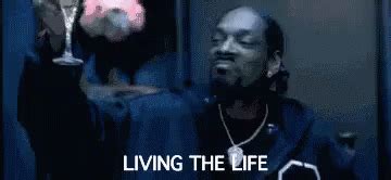 25 Best Living The Dream Meme S Dreams Of A Life