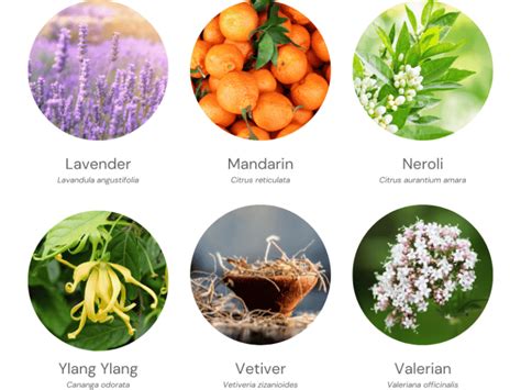 Serenity Oil Grassroots Essentials