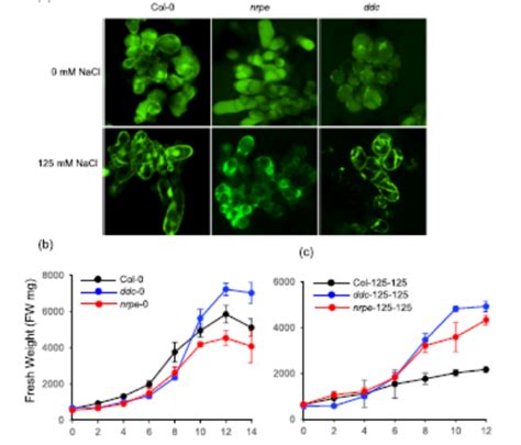Sbio 浙大马忠华团队综述染色质重塑复合体swisnf在植物 病原体互作中的作用 Csdn博客 Sbio 浙大马忠华团队综述染色质重塑复合体swisnf在植物 病原体互作中的作用 Csdn博客