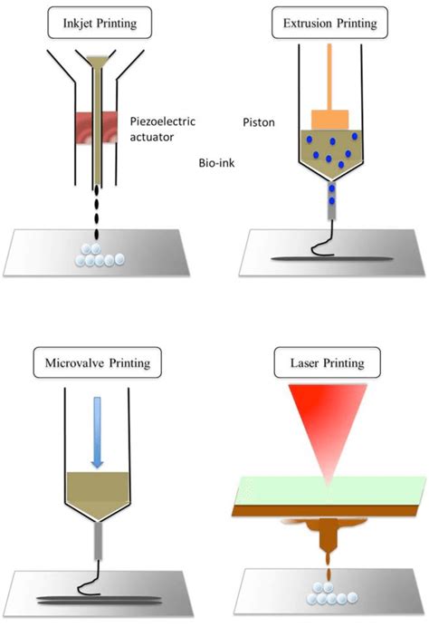 Schematic Showing Various Bioprinting Techniques Used Download Scientific Diagram