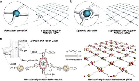 Representation Of The Three Types Of Polymer Networks A Covalent Download Scientific Diagram