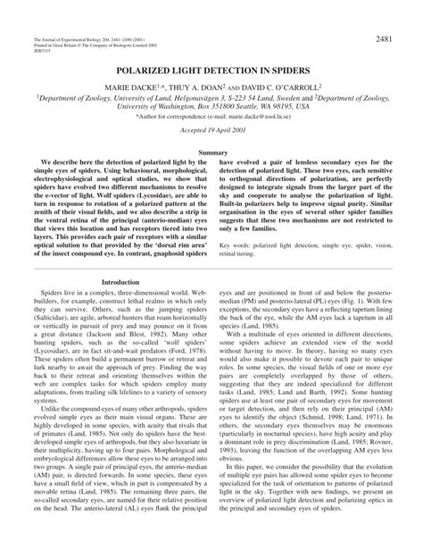 Pdf Polarized Light Detection In Spiders