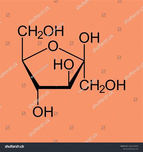 Haworth Projection Structure Beta D Fructofuranose Glucose Sugar Stock Vector Royalty Free