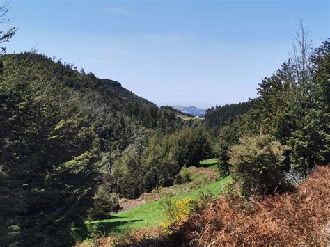Glentui Loop Track All You Need To Know Before You Go 2025