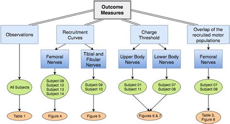 Flow Chart Of The Outcome Measures Used In This Study Caption An