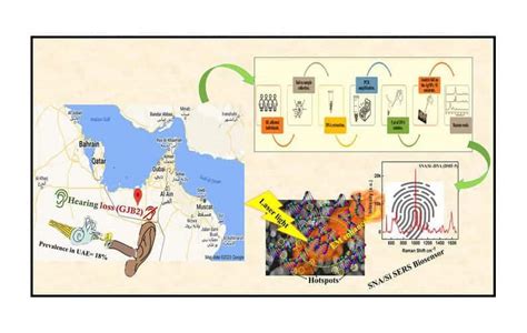 Scientists Develop Sensor To Detect Genes Causing Hearing Loss The
