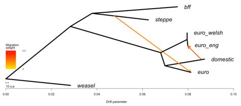 TreeMix Phylogeny Showing The Optimum Number Of Migration Edges Two Download Scientific