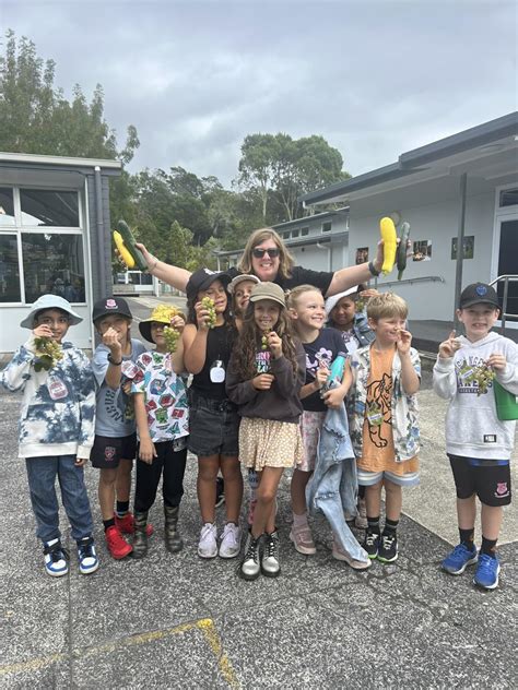 Kauri Park School Kura O Te Papa Kauri