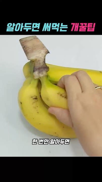 평생 써먹는 신박한 살림꿀팁 대방출 아이디어 노하우 꿀팁 Youtube