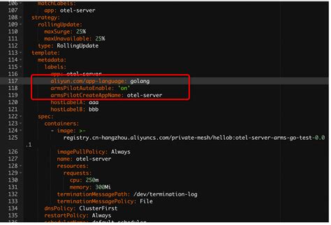 Golang应用监控 容器服务 Kubernetes 版 Ack 阿里云