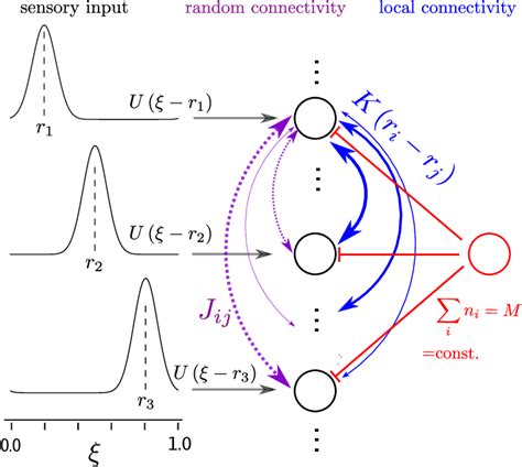 Figure 1 From Information Content In Continuous Attractor Neural