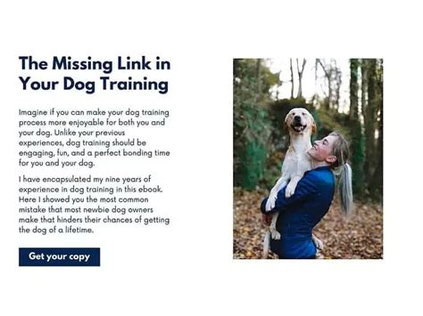 9 Best Copywriting Frameworks Proven Formulas That Work Copywriting Sales Letter Framework