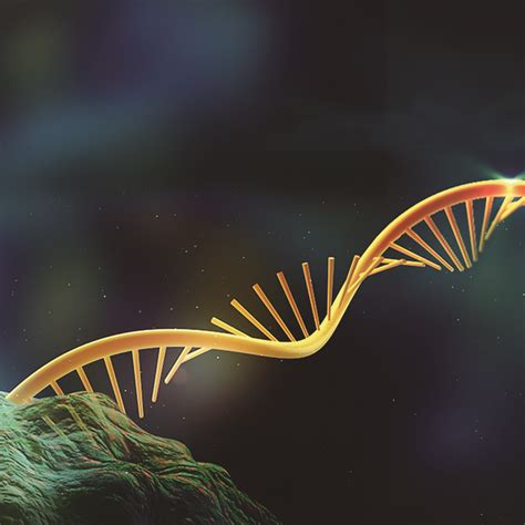 转录组学 最新供应 武汉康测科技有限公司 丁香通