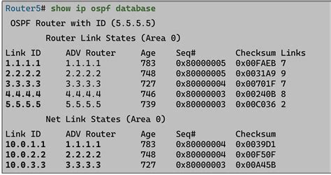Ospf Training Course Module 1 Practical Networking Net