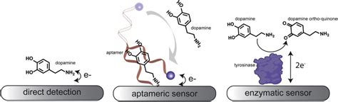 Schematic Of Electrochemical Sensors For Neurotransmitter Detection Download Scientific Diagram