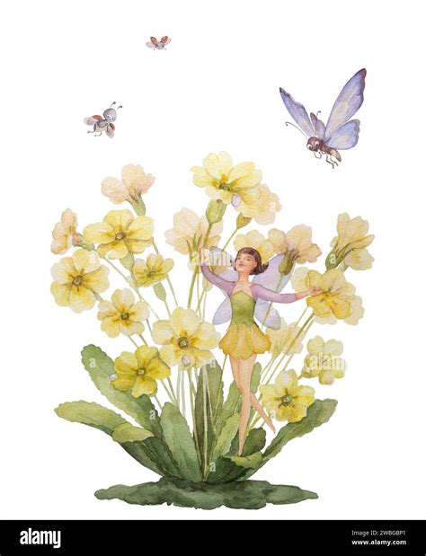 Primrose Fairy Illustration Flower Fairy Tale Clipart Hand Drawn