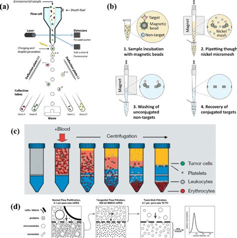 Fluorescence Activated Cell Sorting