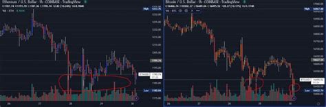 Resetting Paper Trading R Tradingview
