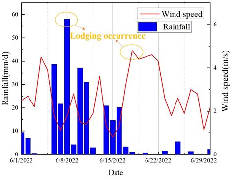 Remote Sensing Free Full Text A Decision Tree Approach To Identifying Paddy Rice Lodging