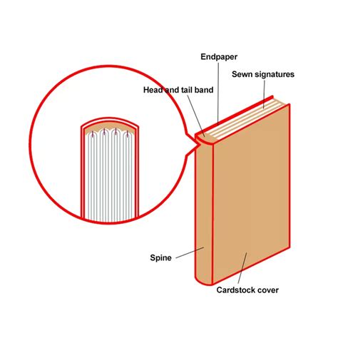 Offset Printing And Binding Flexibound Books And Bibles