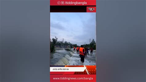 বন্যায় ফেনীর রাস্তা বন্ধ Newsupdate News বন্যা বন্যার খবর বন্যা পরিস্থিতি বন্যারখবর ফেনী