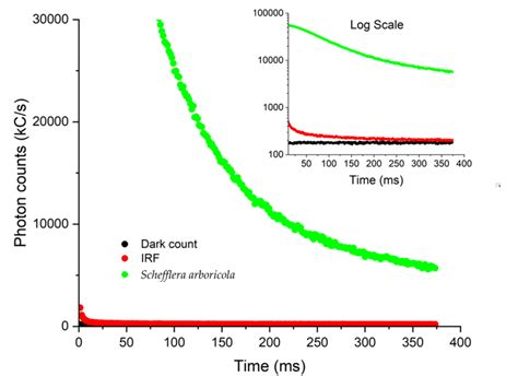 Photon Vs Time Curves Plotted For The Dark Counts Black The Download Scientific Diagram