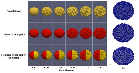 13 Comparison Of Folding Processes Of The Reference Ellipsoid Based On Download Scientific