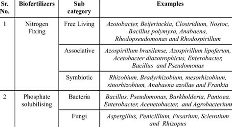 Biofertilizer Categories And Examples Download Scientific Diagram