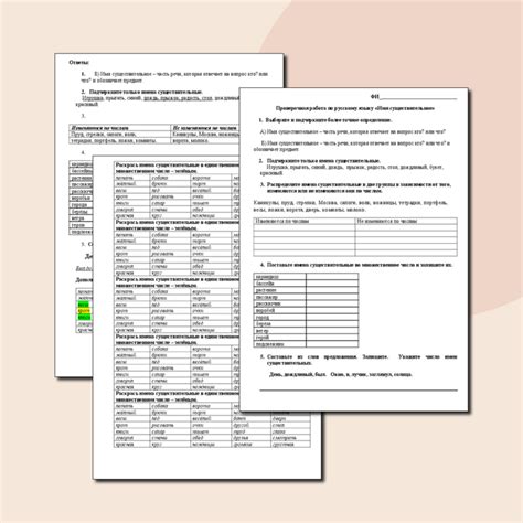 Проверочная работа по русскому языку Имя существительное