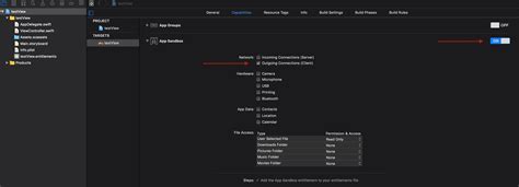 Swift Wkwebview Shows A Blank Screen On Osx With No Output Stack Overflow