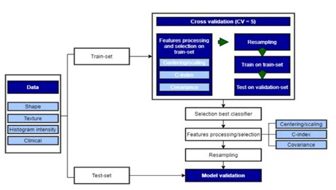 Model Building Using ML Download Scientific Diagram