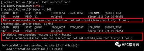 Lsf实践专题（36）：对lsf中作业的pending Reason进行分类查看lsf一直pend Csdn博客