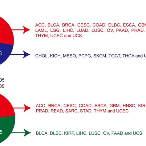The Association Between Mutation Status In DDR Gene Panel And Download Scientific Diagram