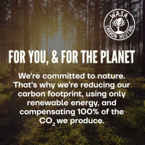 Wasa Multi Grain Crispbread Multigrain Crackers Non Gmo Ingredients