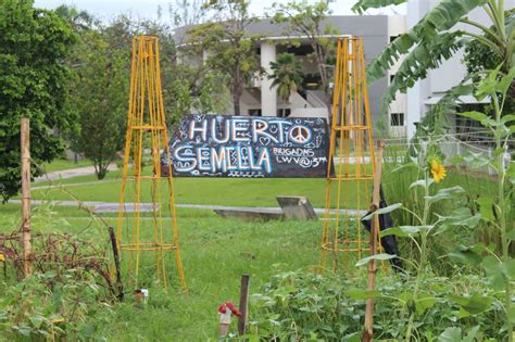 Crece El Interés Por Más Universidades Ecoamigables Un Solo Latir