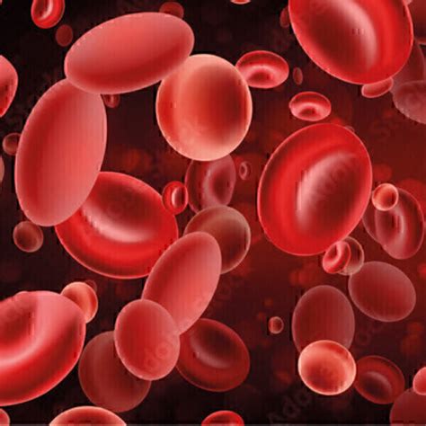 Measuring Changing Flow Rates The Challenges Of Pulsating Flow Nov 22 2022 Neil Hannay