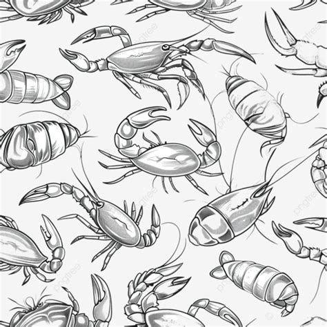 새우 생선 게와 홍합 개요 바다 음식과 원활한 패턴 포도 수확 쌈 손으로 그린 Png 일러스트 및 이미지 에 대한 무료