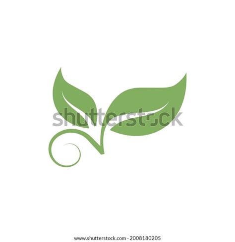 Leaf Shutter Lens Aperture Nature Photographer Stock Vector Royalty Free 2008180205 Shutterstock