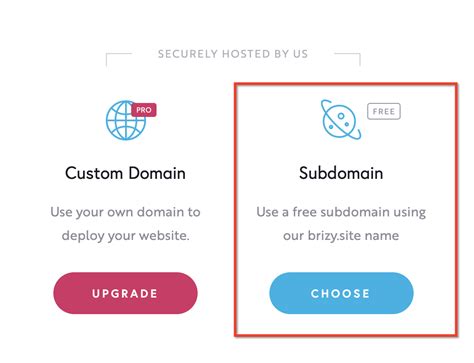 brizy subdomain brizy help center