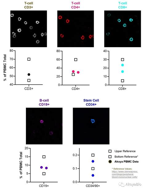热点分享 Codex分析平台轻松实现pbmc单核细胞涂片26色原位流式分析 云准医药科技（上海）有限公司