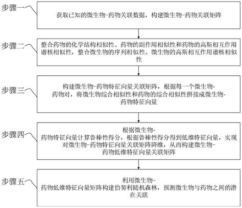 基于特征降维和伯努利随机森林的微生物 药物预测方法