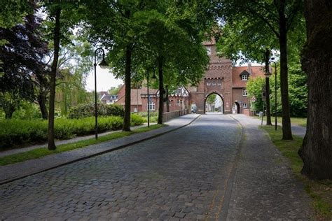 LiftMaster Gate Error Codes List PDF Troubleshooting Guide